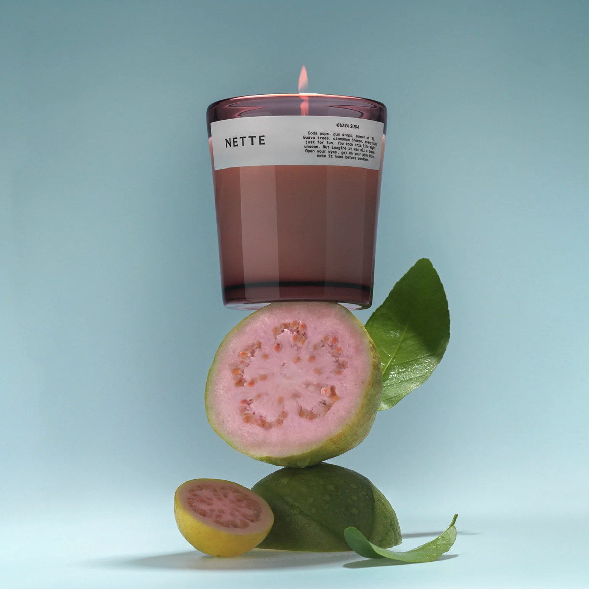 Guava Soda Candle – Lala and Elm